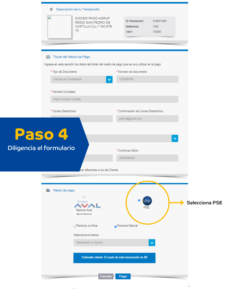 Pagos en Línea en San Pedro de Castilla: Simplicidad y Conveniencia