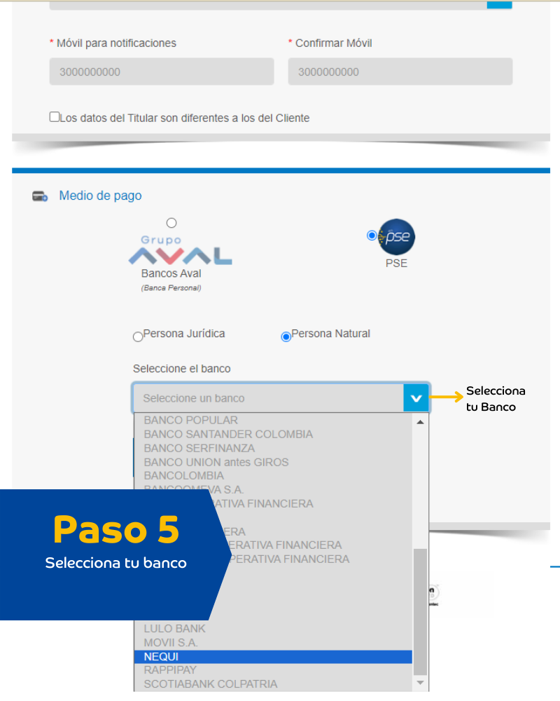 Pagos en Línea en San Pedro de Castilla: Simplicidad y Conveniencia